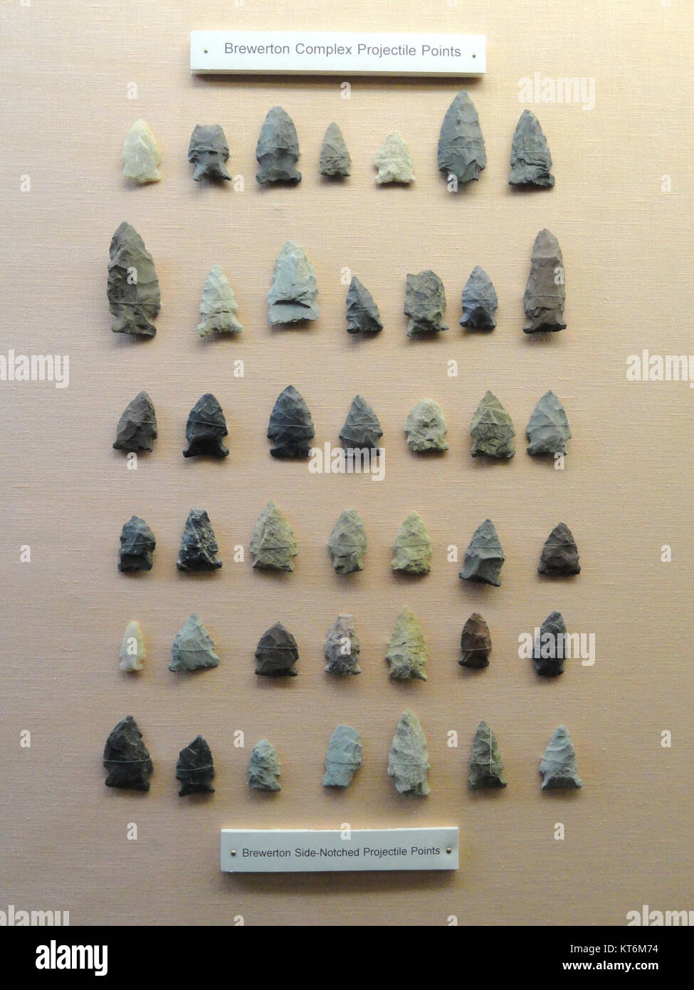 Arrowheads - Springfield Science Museum - Springfield, MA - DSC03442 ...