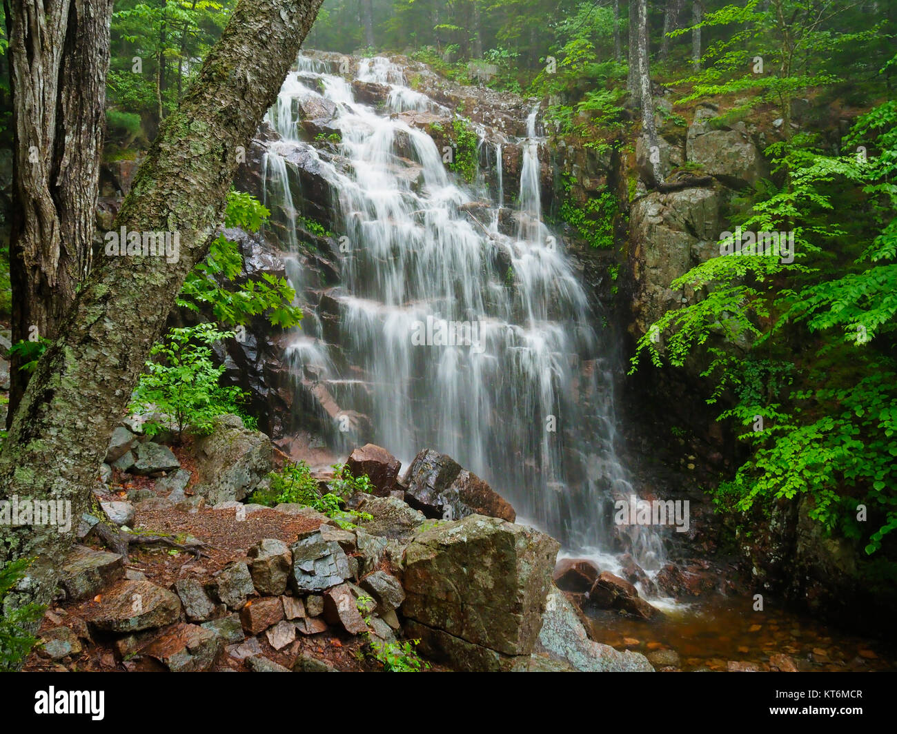 Hadlock brook bridge hi-res stock photography and images - Alamy