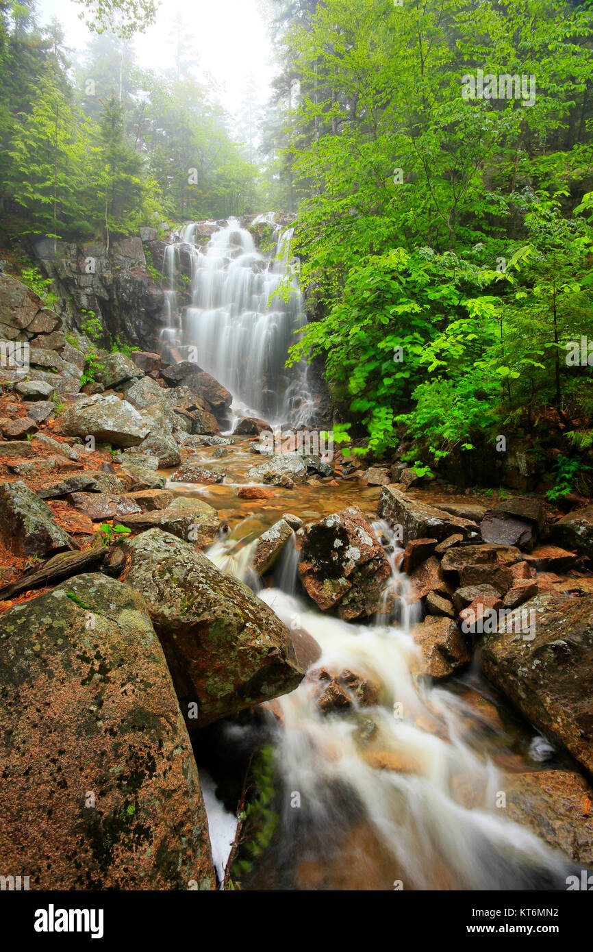 Waterfall Bridge, Hadlock Brook Loop Carriage Road, Acadia National ...