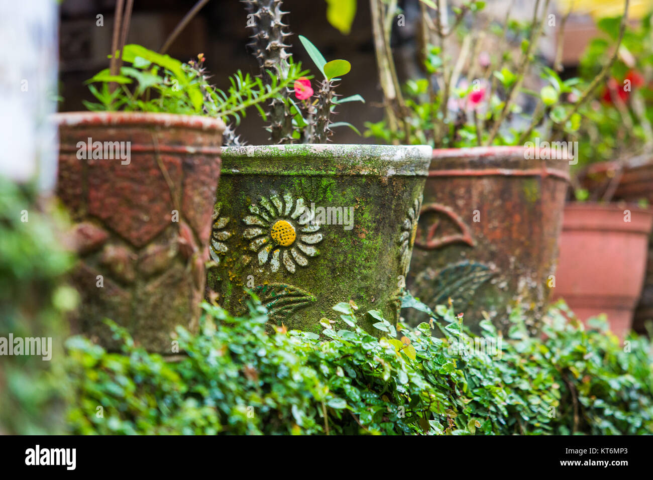 Old flower pots hi-res stock photography and images - Alamy
