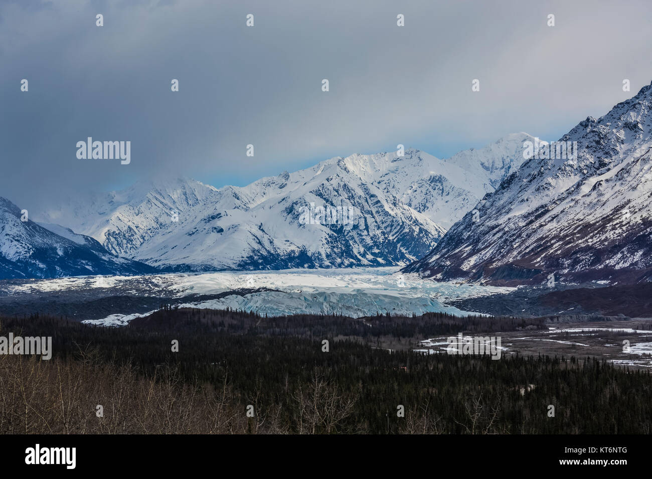Terminus of the mighty Matanuska Glacier, viewed from the Matanuska ...