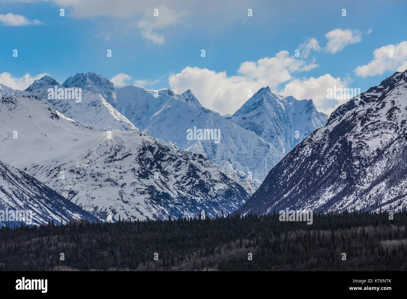 Terminus of the mighty Matanuska Glacier, viewed from the Matanuska ...