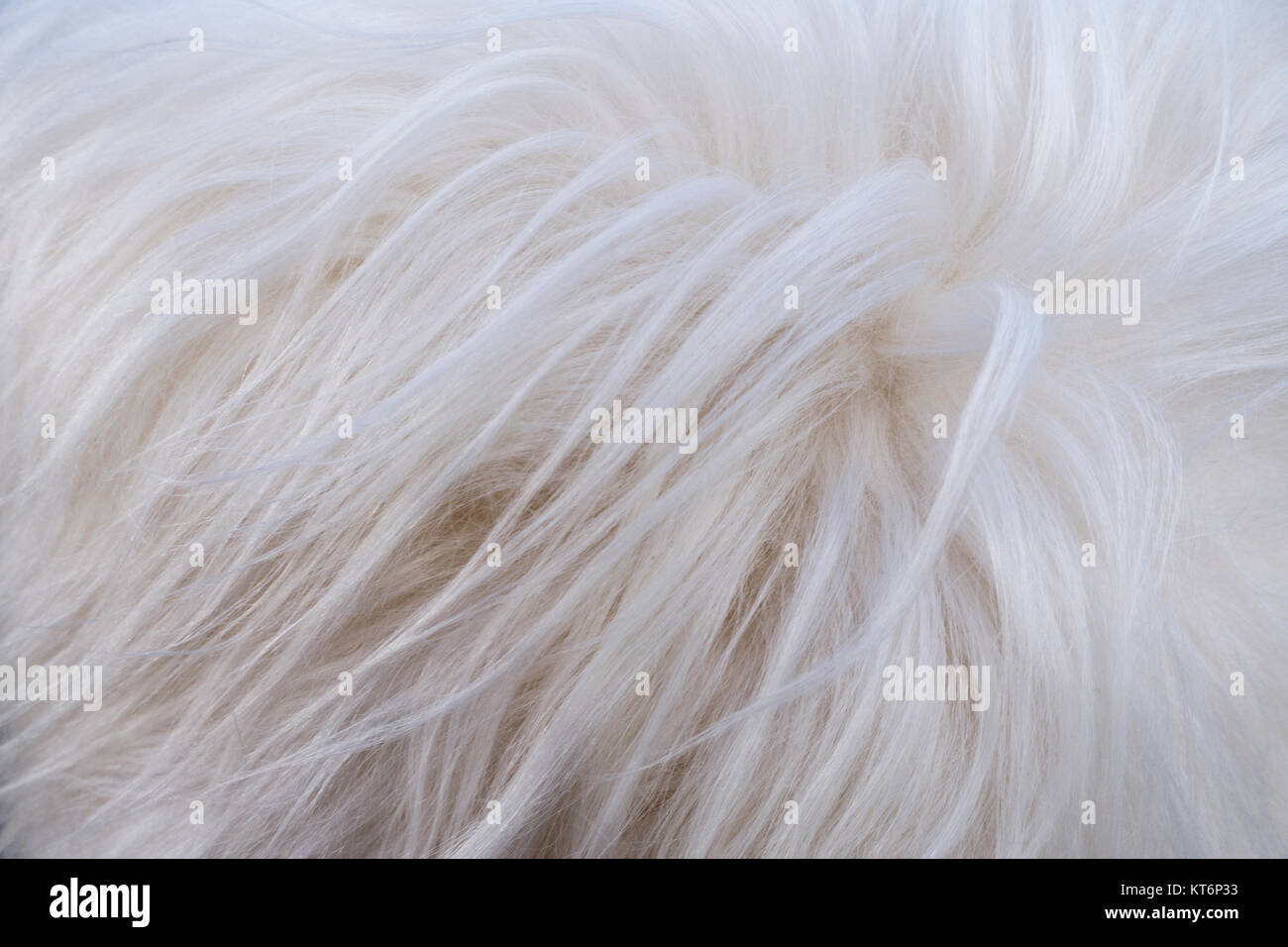 furry backdrop texture Stock Photo - Alamy
