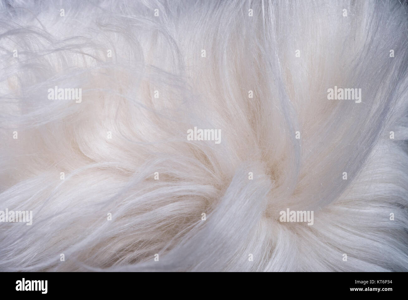 furry backdrop texture Stock Photo - Alamy