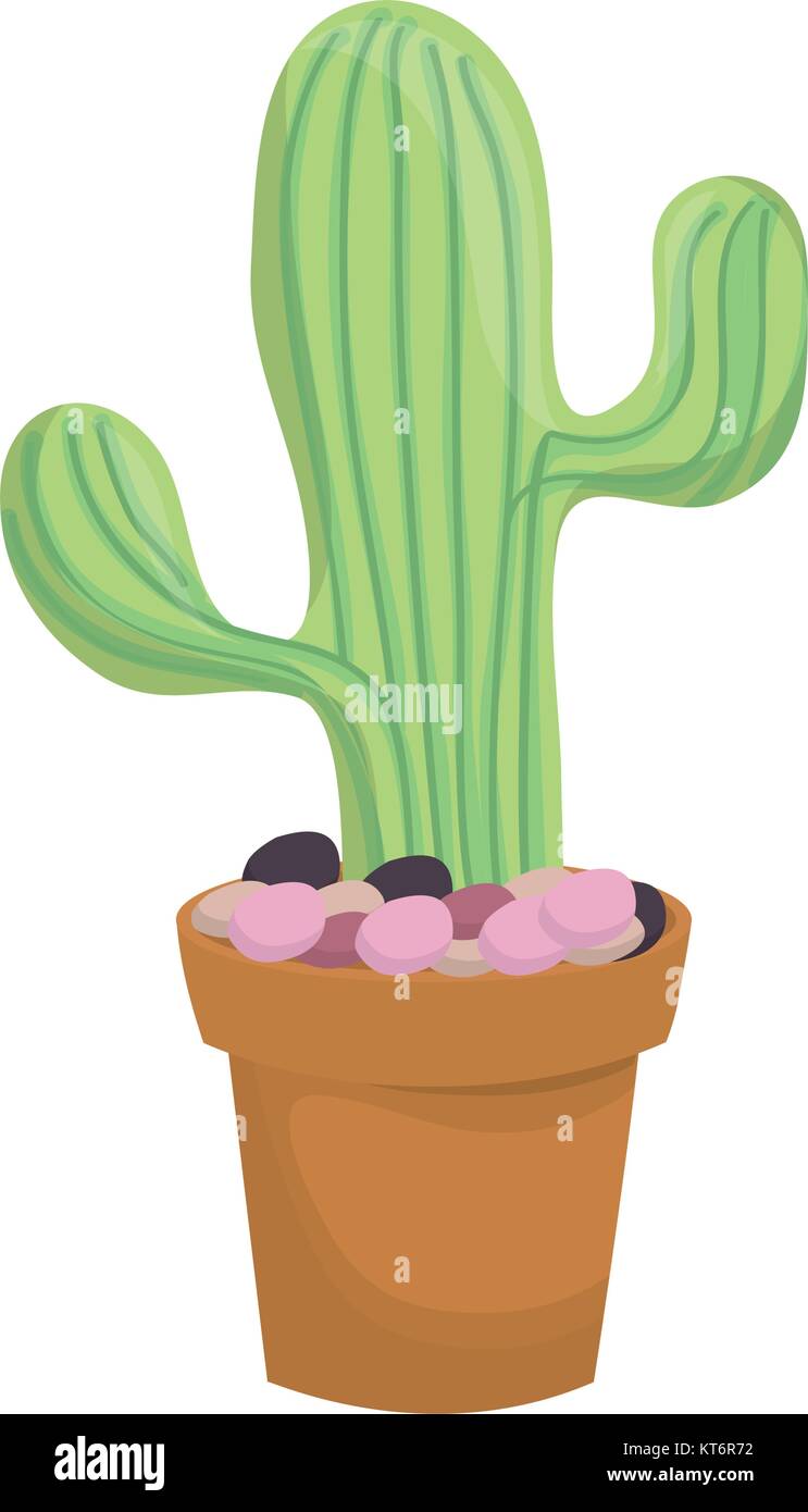 cactus in potted vector illustration Stock Vector Image & Art - Alamy