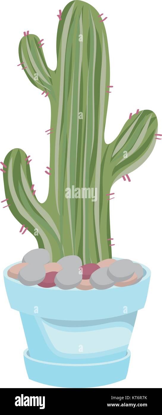 cactus in potted vector illustration Stock Vector Image & Art - Alamy