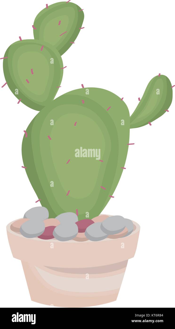 cactus in potted vector illustration Stock Vector Image & Art - Alamy
