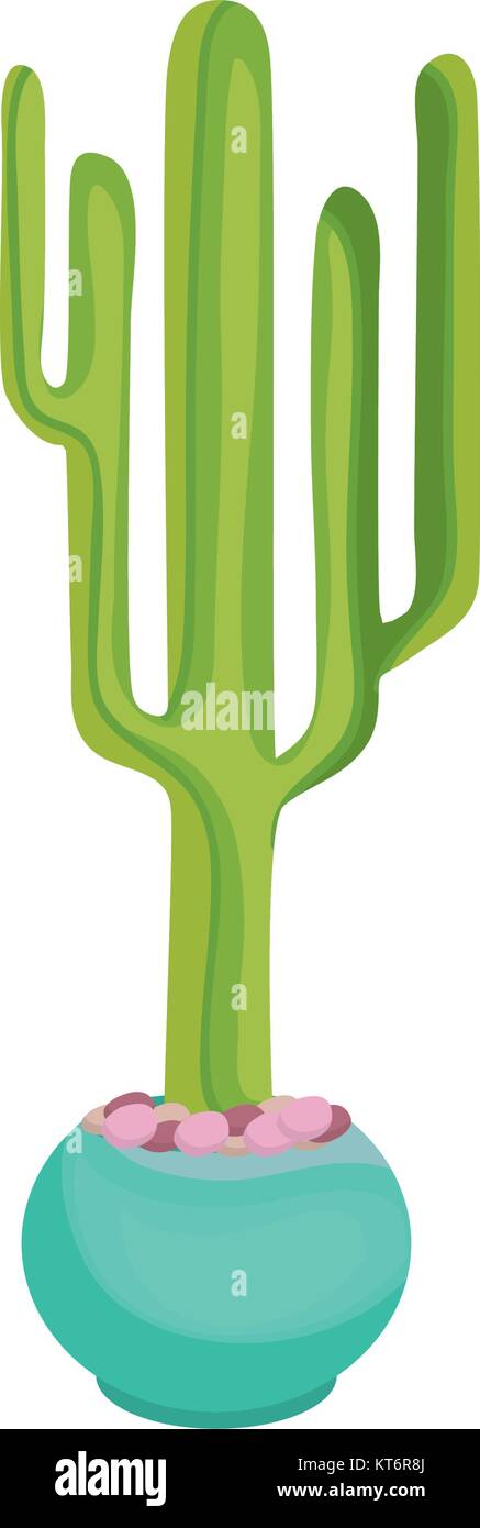 cactus in potted vector illustration Stock Vector Image & Art - Alamy