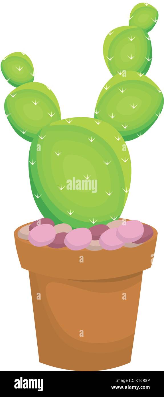 cactus in potted vector illustration Stock Vector Image & Art - Alamy