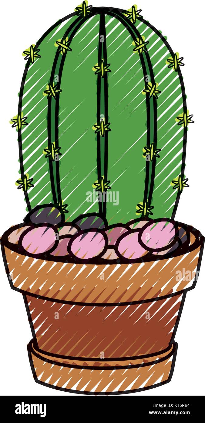 cactus in potted vector illustration Stock Vector Image & Art - Alamy