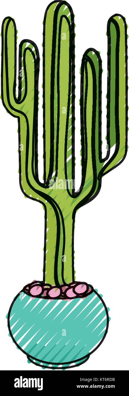 cactus in potted vector illustration Stock Vector Image & Art - Alamy