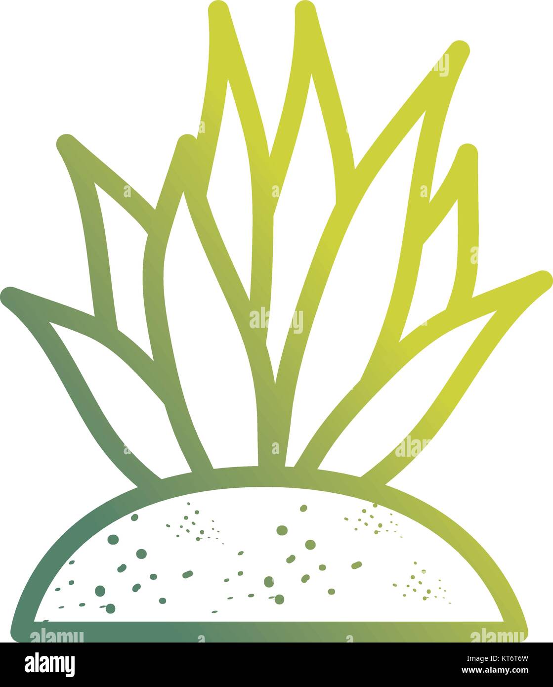 Desert plant draw Stock Vector Image & Art - Alamy