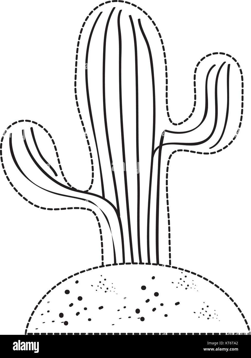 Tracings Of A Cactus Plant Plants Casa Grande Ruins National