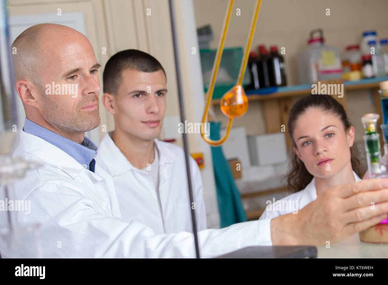 Sciences studies hi-res stock photography and images - Alamy