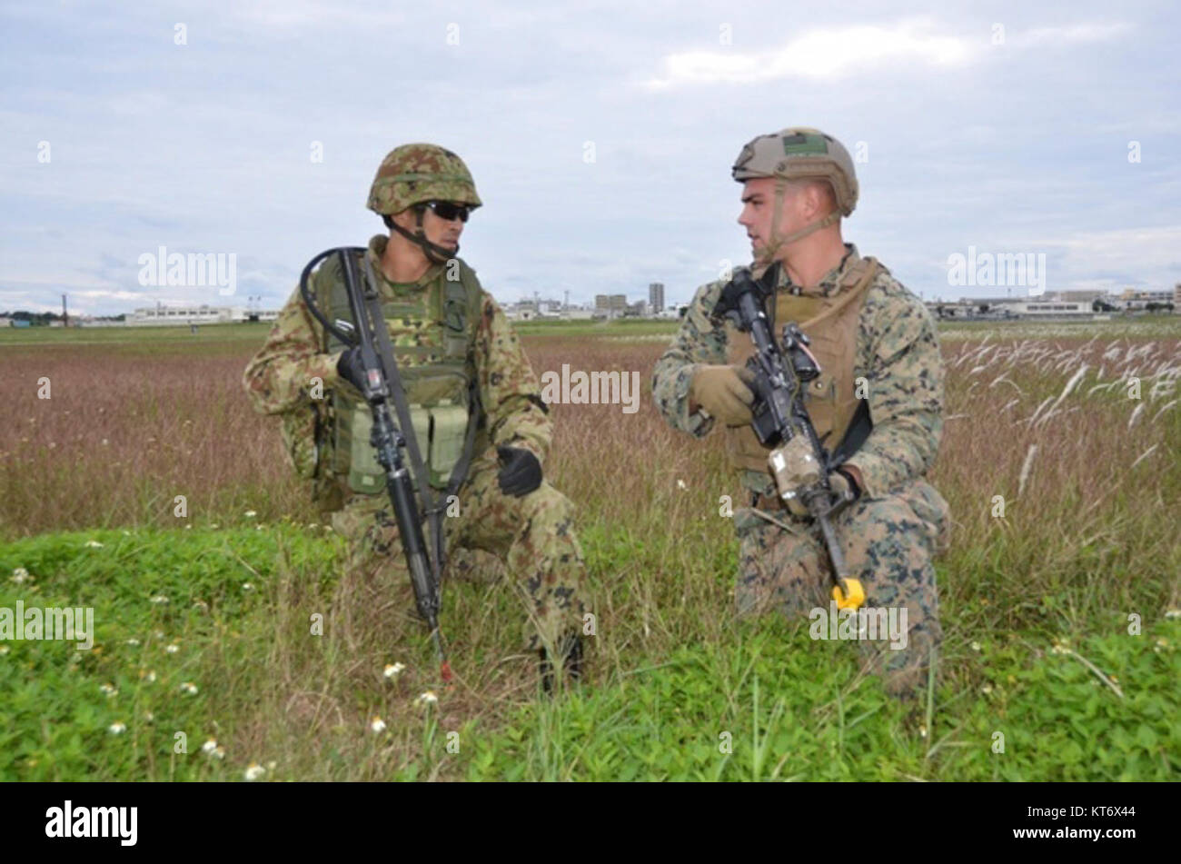 A member of the 51st Infantry Regiment, 15th Brigade, Japan Ground Self ...