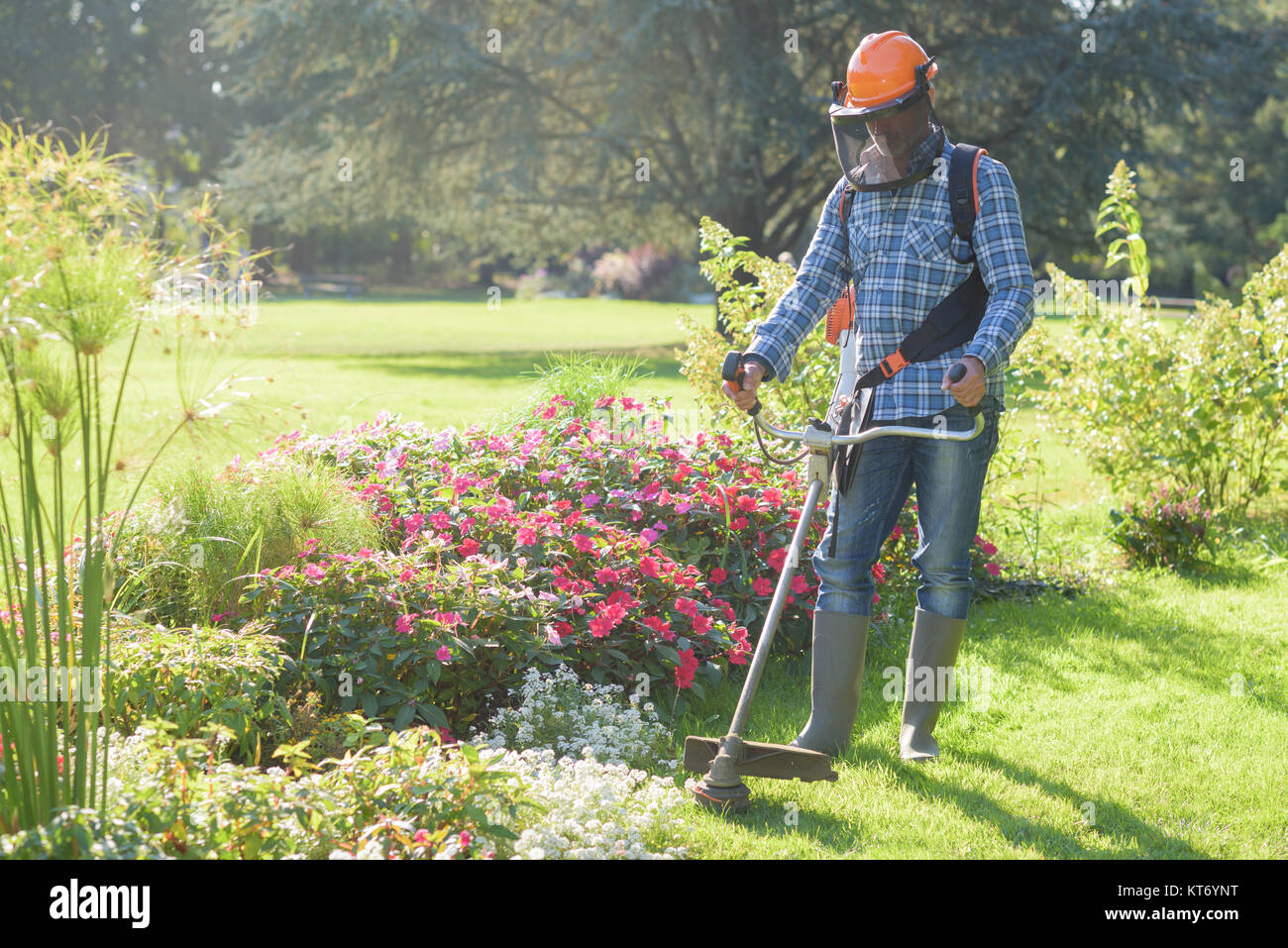 worker mowing the lawn Stock Photo - Alamy