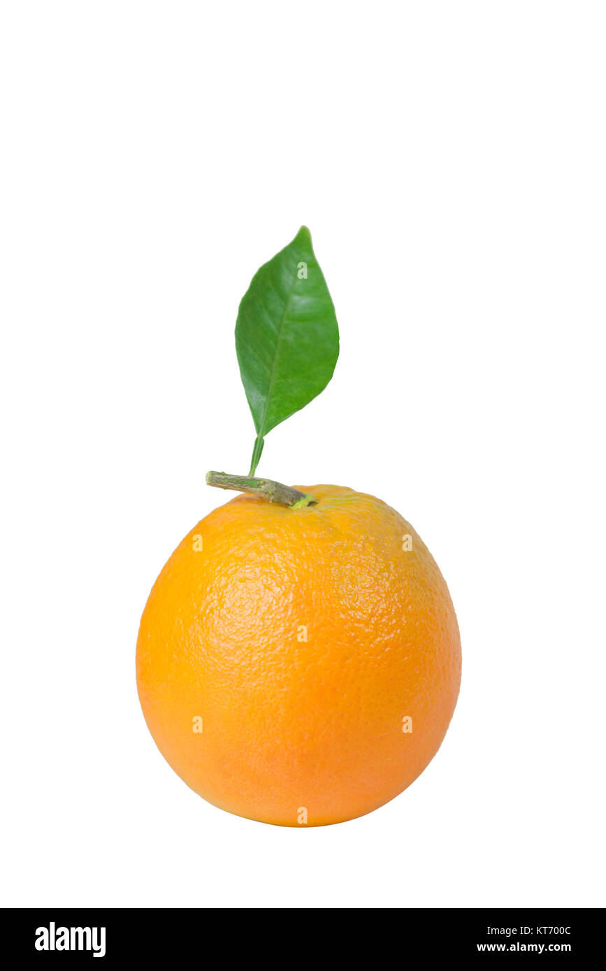 one orange on white background Stock Photo - Alamy