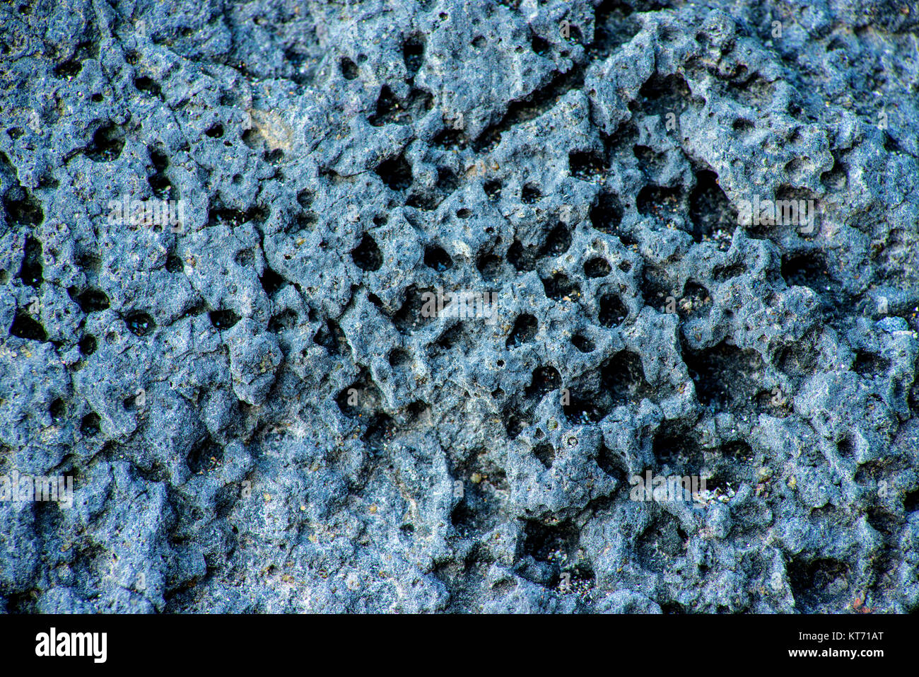 volcanic rock,closeup of surface Stock Photo - Alamy