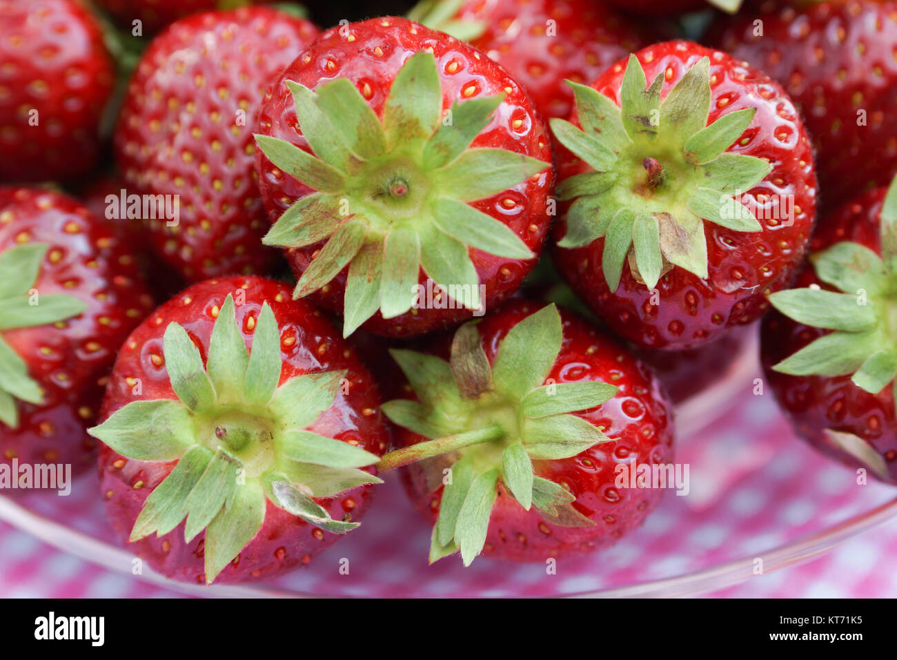 beautifully decorated strawberries Stock Photo - Alamy