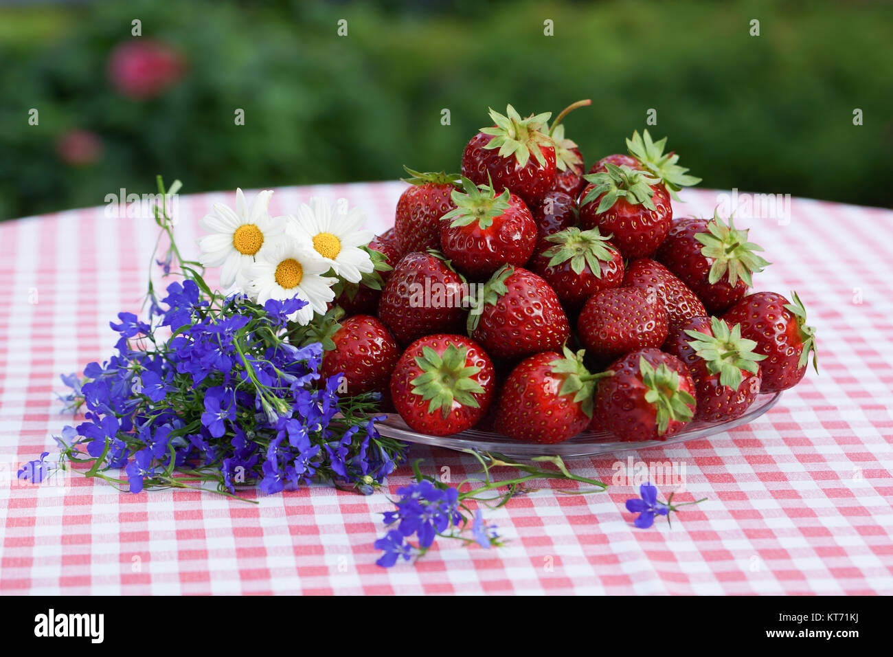 beautifully decorated strawberries Stock Photo - Alamy