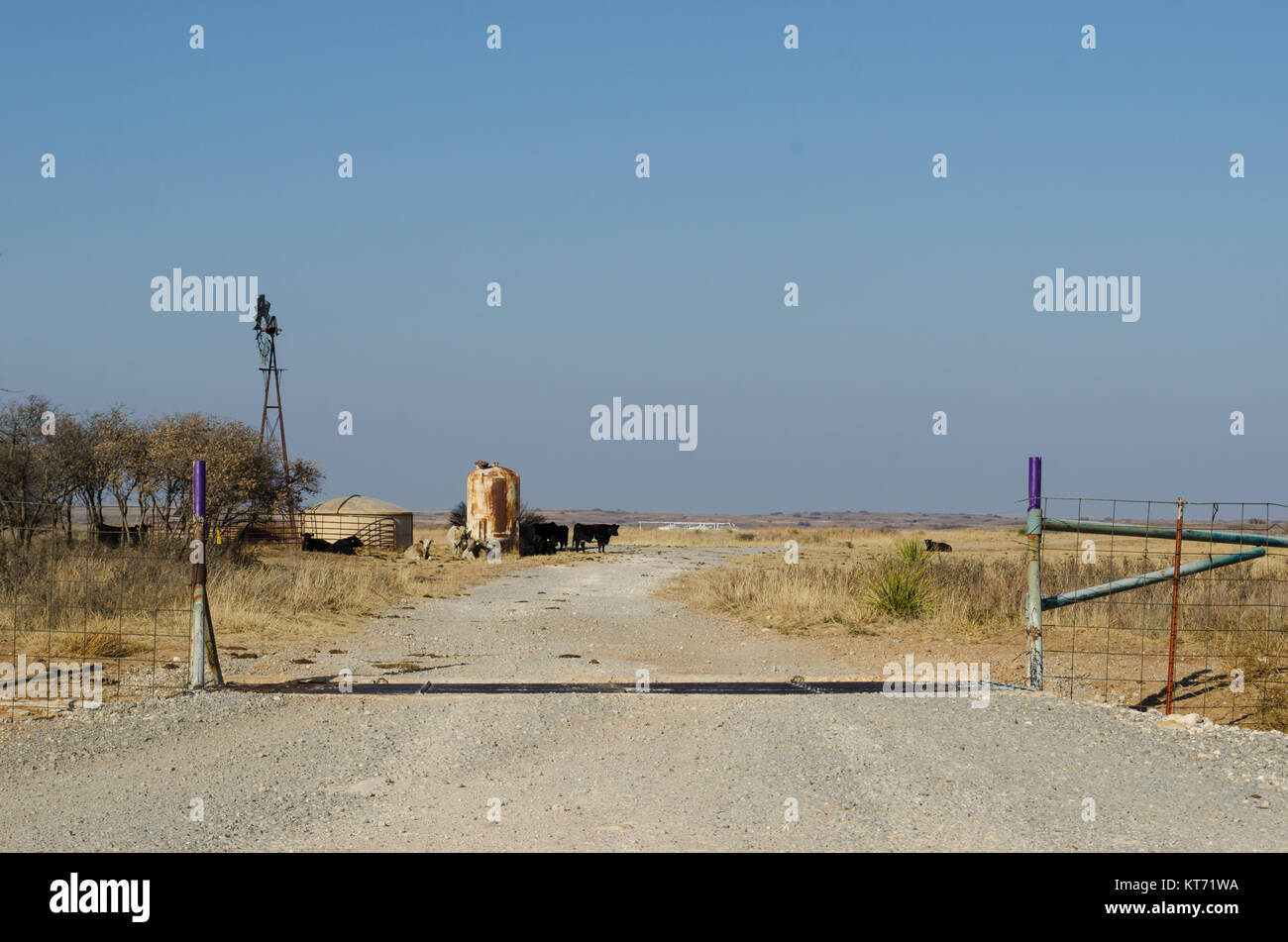 Gate and cattle guard on road leading to cattle and water tank ...