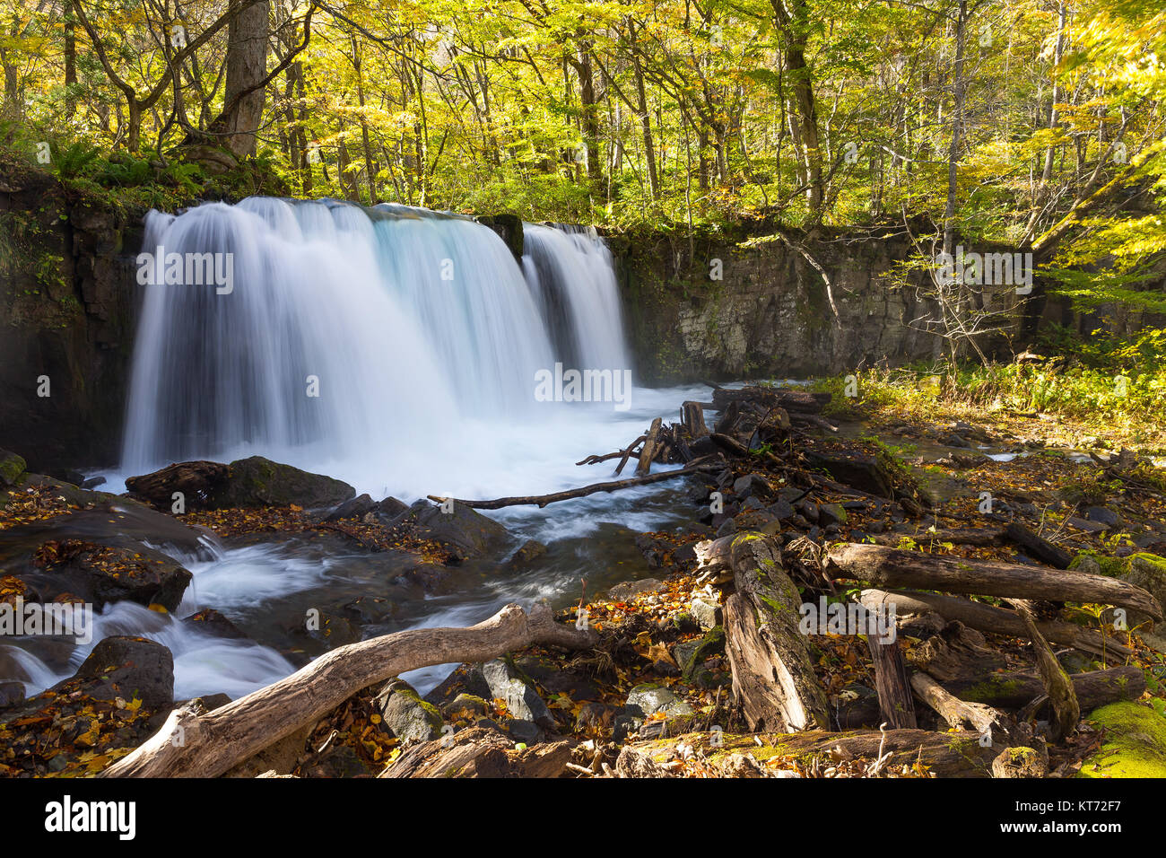 Choshi Ootaki waterfall in the Oirase stream Stock Photo - Alamy