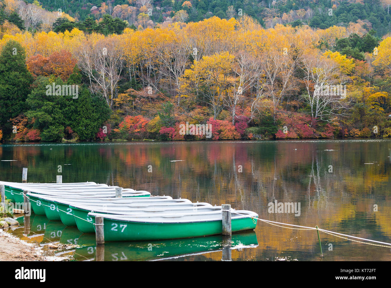 Visit nikko hi-res stock photography and images - Alamy