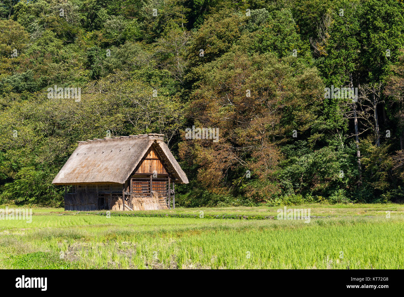 Traditional Japanese old wooden house in forest Stock Photo - Alamy