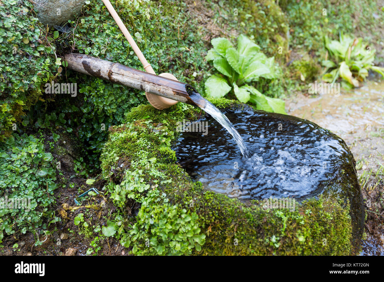 Water fountain in Japanese temple Stock Photo - Alamy