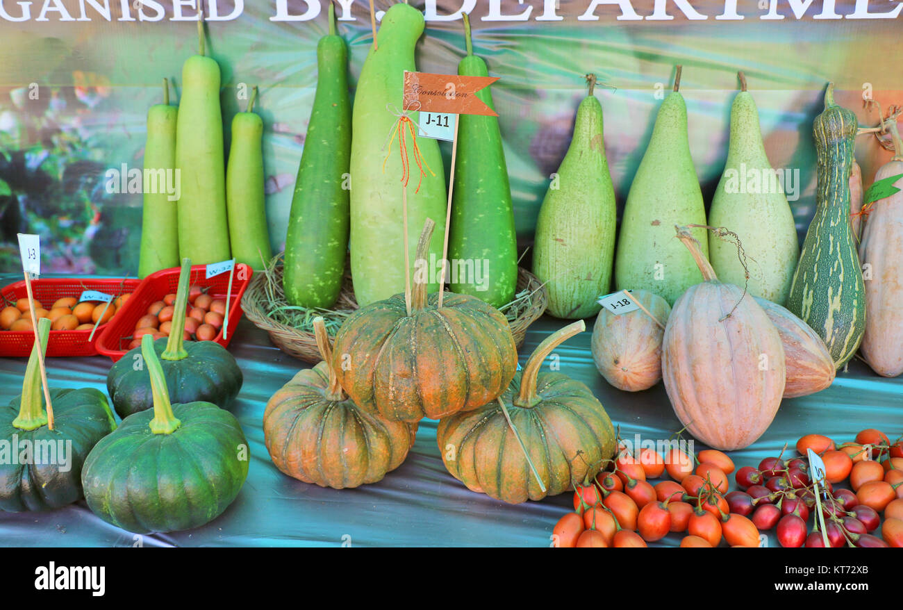 Organic cultivated fruits and vegetable of north-east India displaying ...