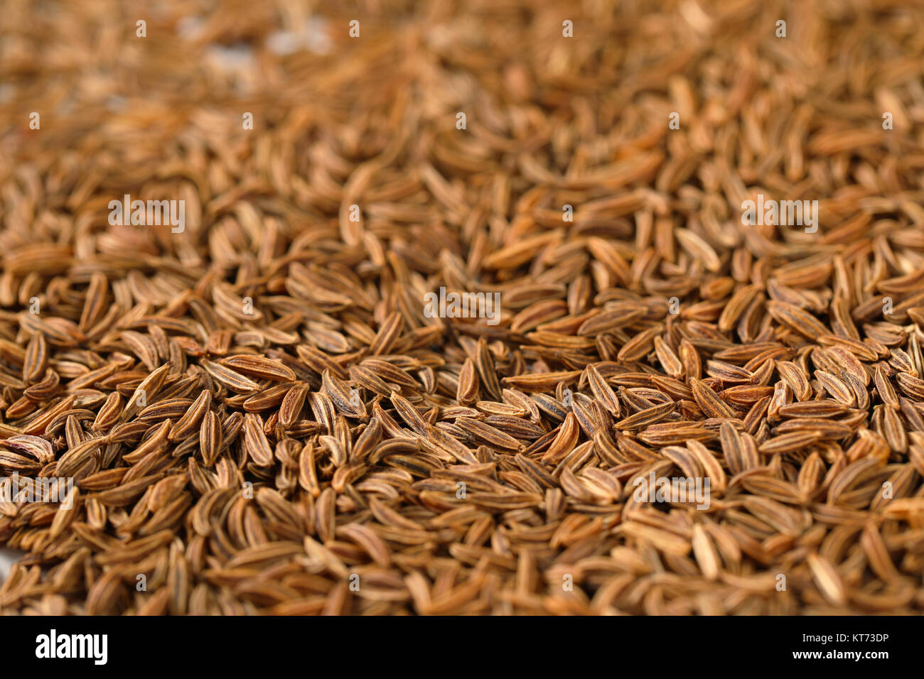 detail of caraway seeds Stock Photo - Alamy