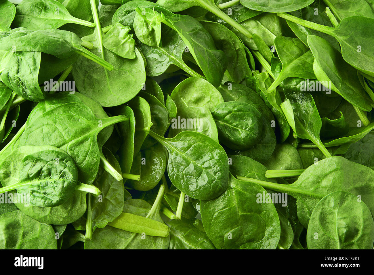Green valerian leaf salad background Stock Photo - Alamy