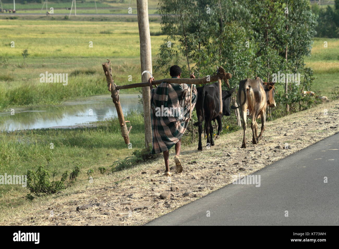 Poor farming hi-res stock photography and images - Alamy