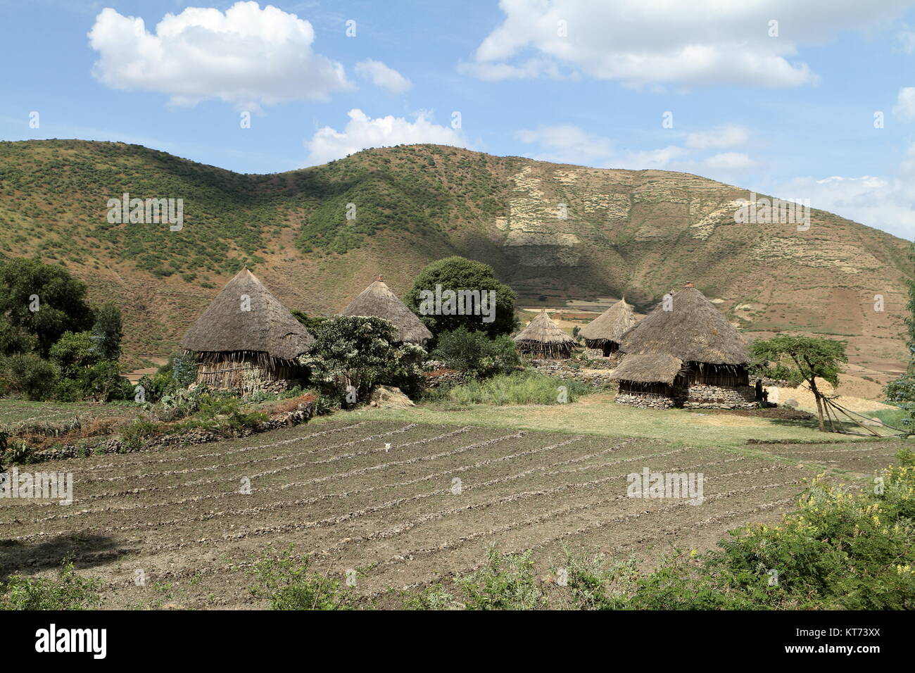 Landlive hi-res stock photography and images - Alamy