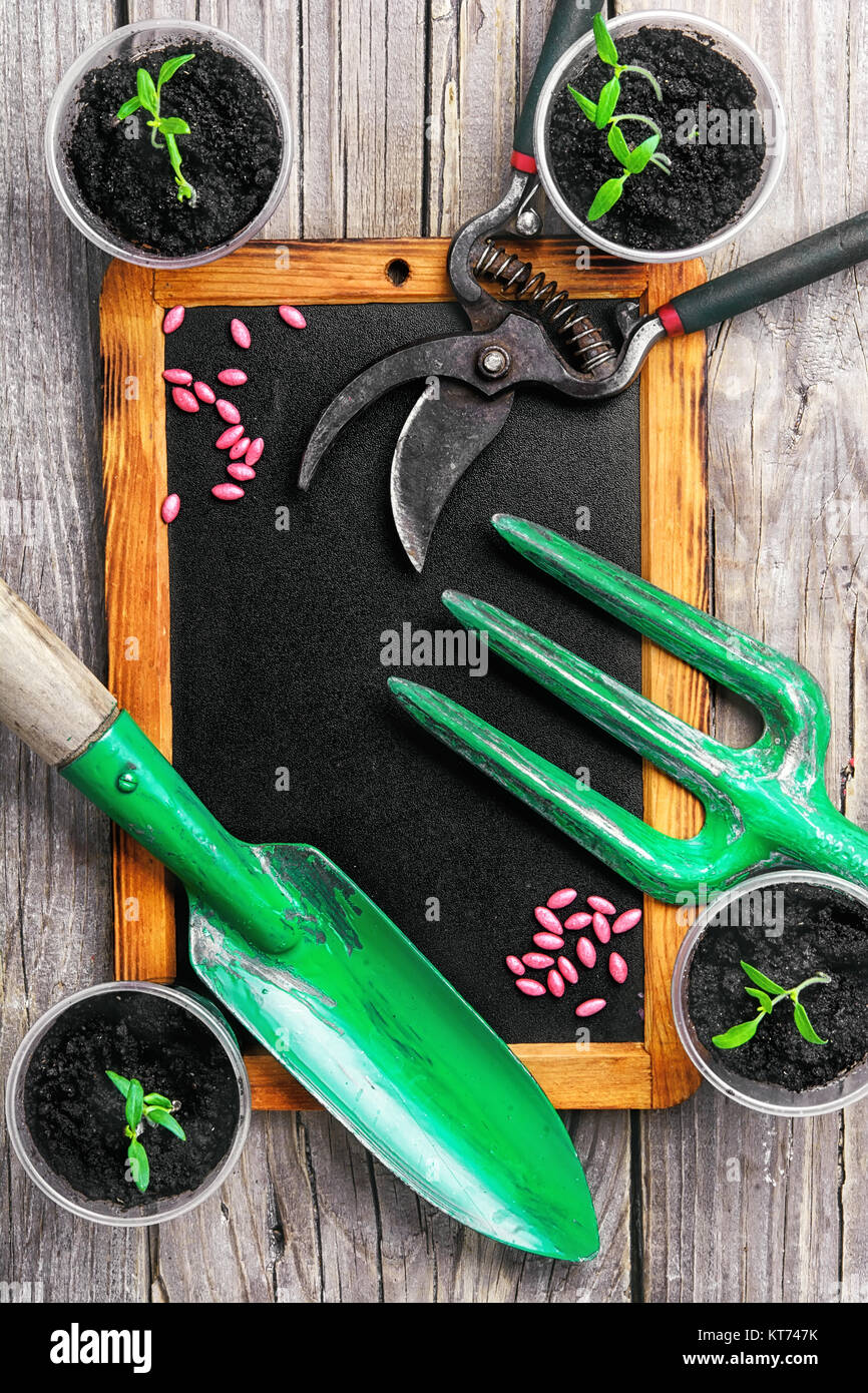 Sowing seeds of spring flowers and garden tools Stock Photo - Alamy