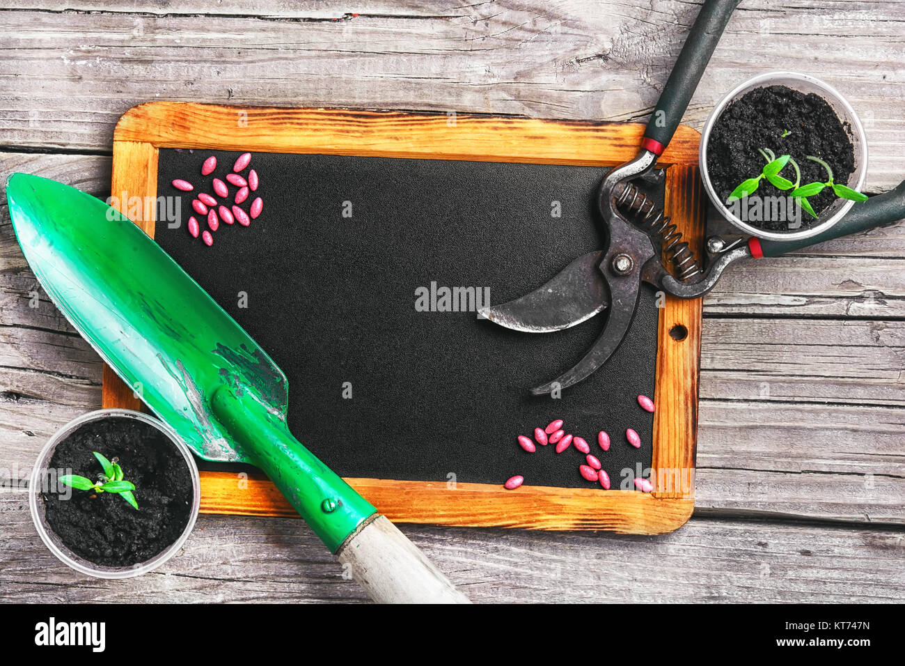 Sowing seeds of spring flowers and garden tools Stock Photo - Alamy