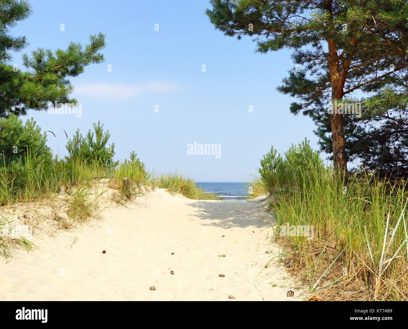 Der Weg zum Strand am Meer Stock Photo - Alamy