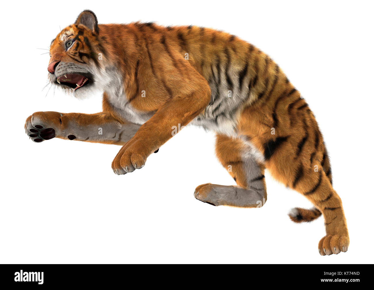 3D Rendering Big Cat Tiger on White Stock Photo - Alamy
