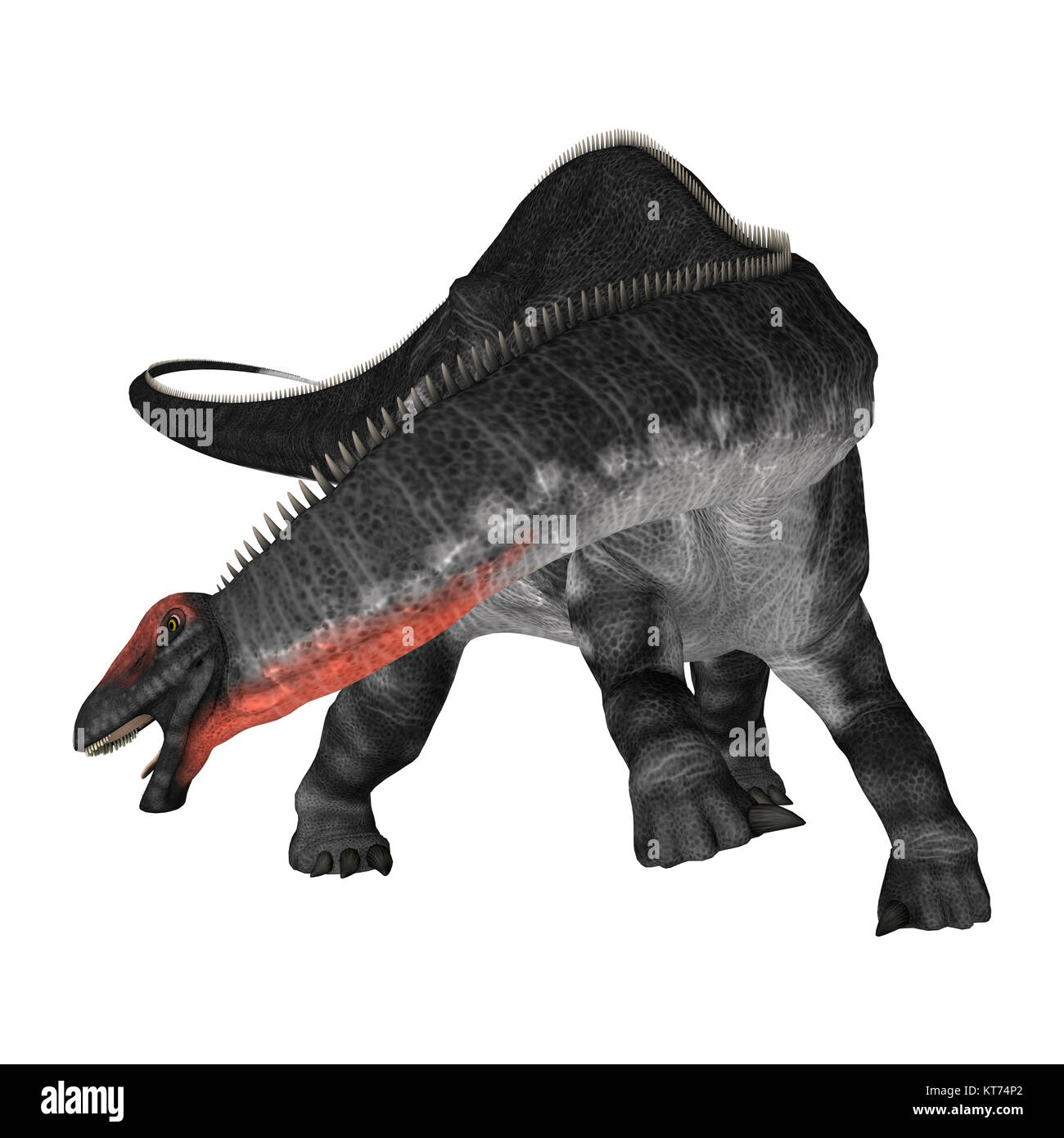 Apatosaurus Cut Out Stock Images & Pictures - Alamy