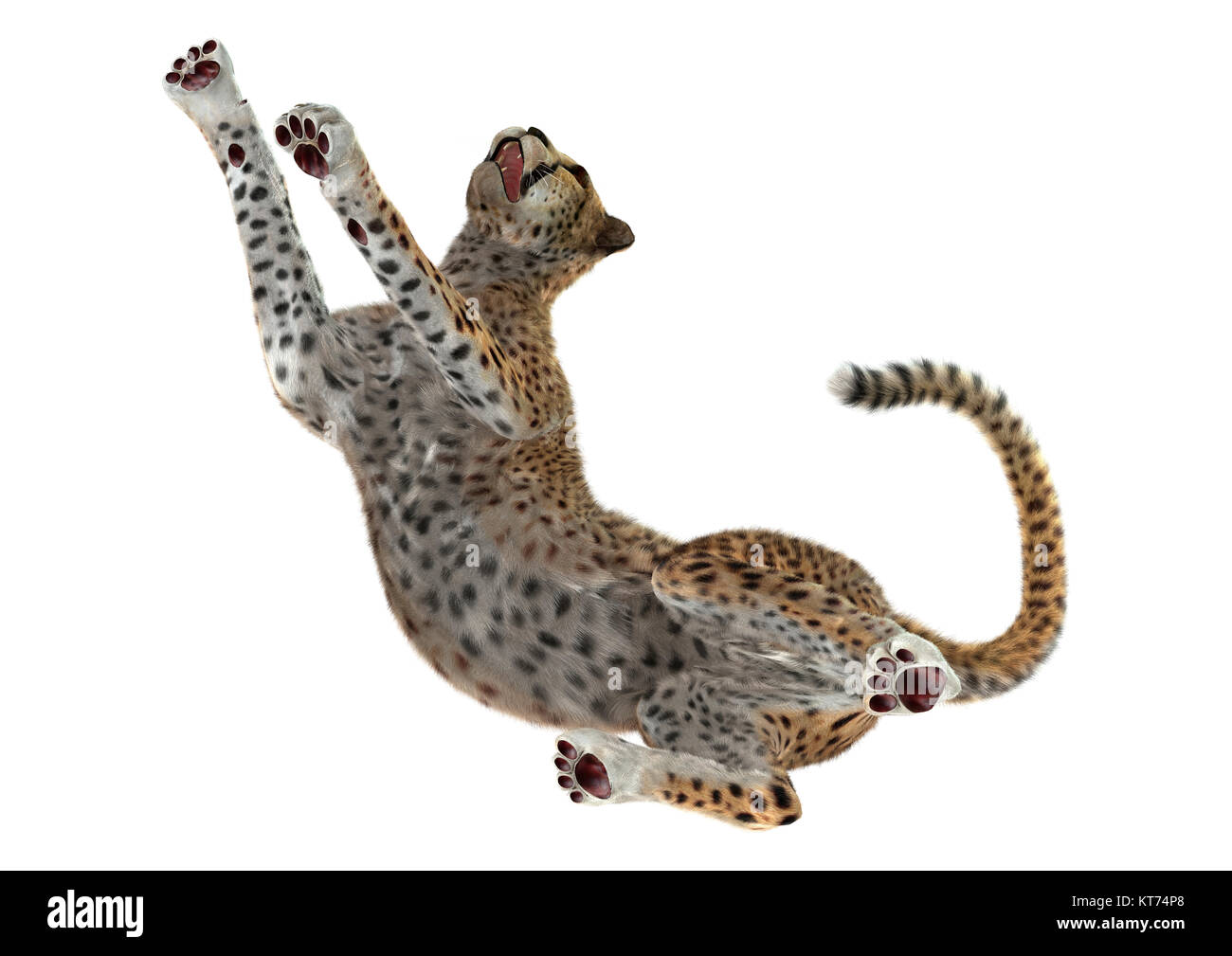 Big game africa Cut Out Stock Images & Pictures - Alamy