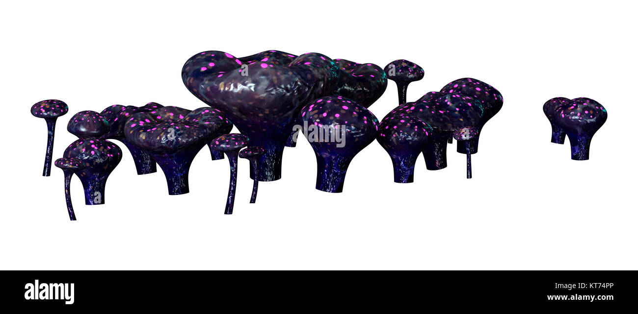 Alien fungi hi-res stock photography and images - Alamy