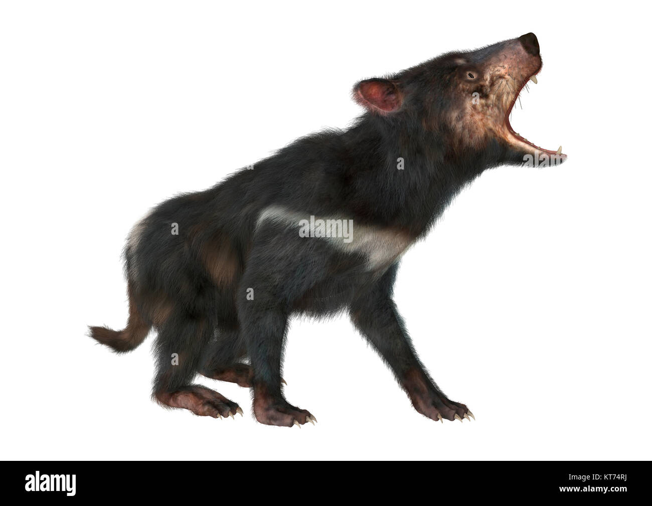 Devil black and white Cut Out Stock Images & Pictures - Alamy