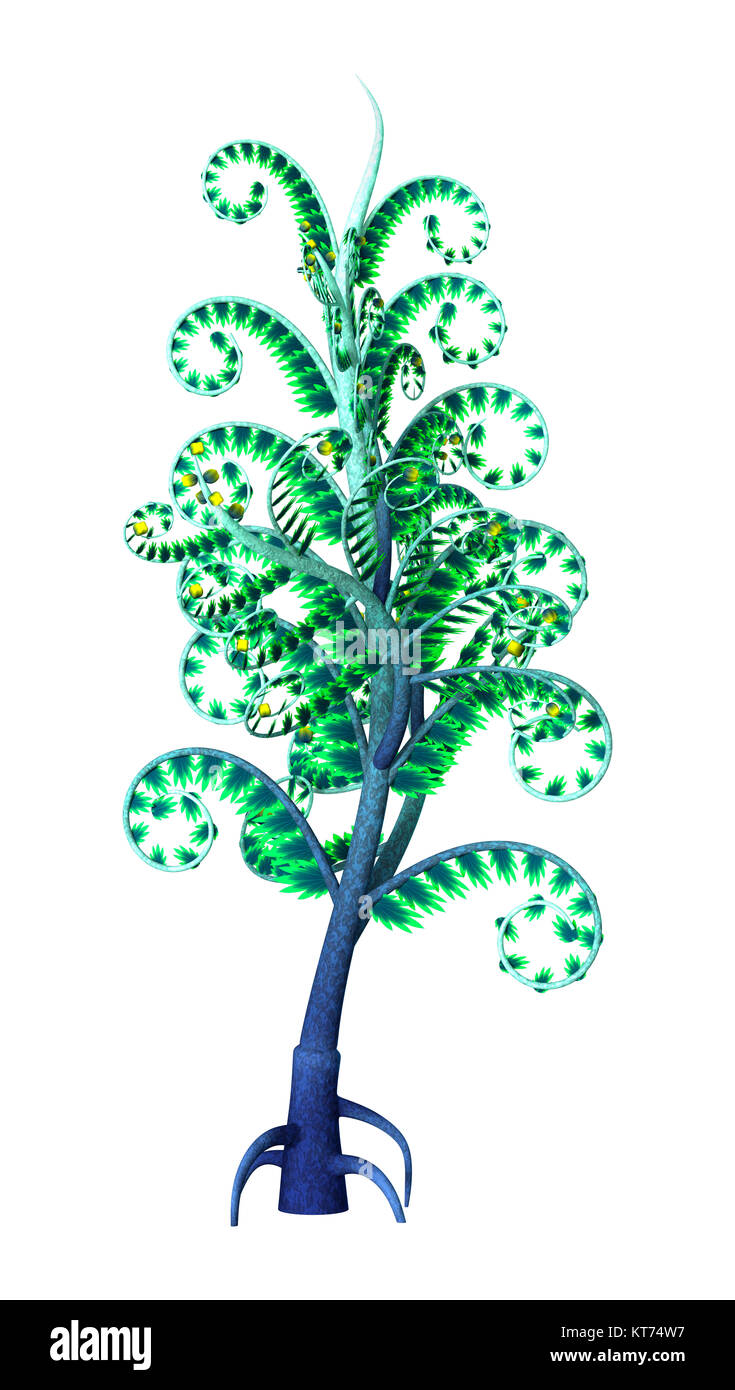 Majestic plant Cut Out Stock Images & Pictures - Alamy