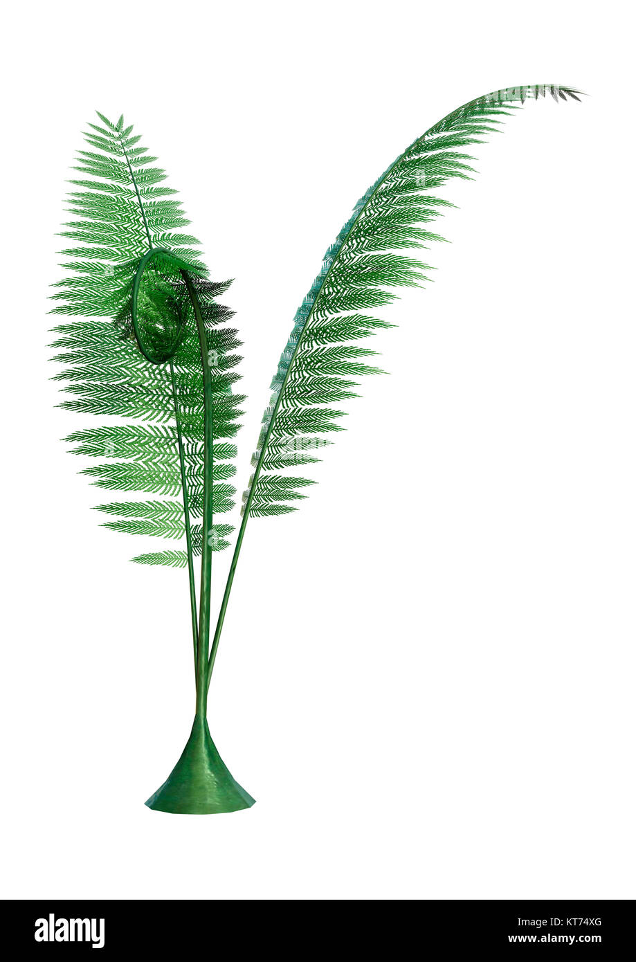 Giant fern tree Cut Out Stock Images & Pictures - Alamy