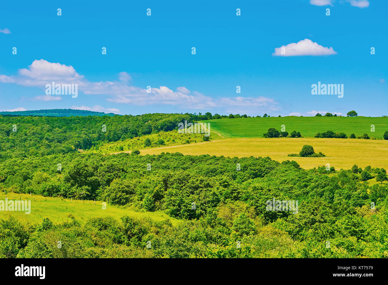 Forest and Fields Stock Photo - Alamy