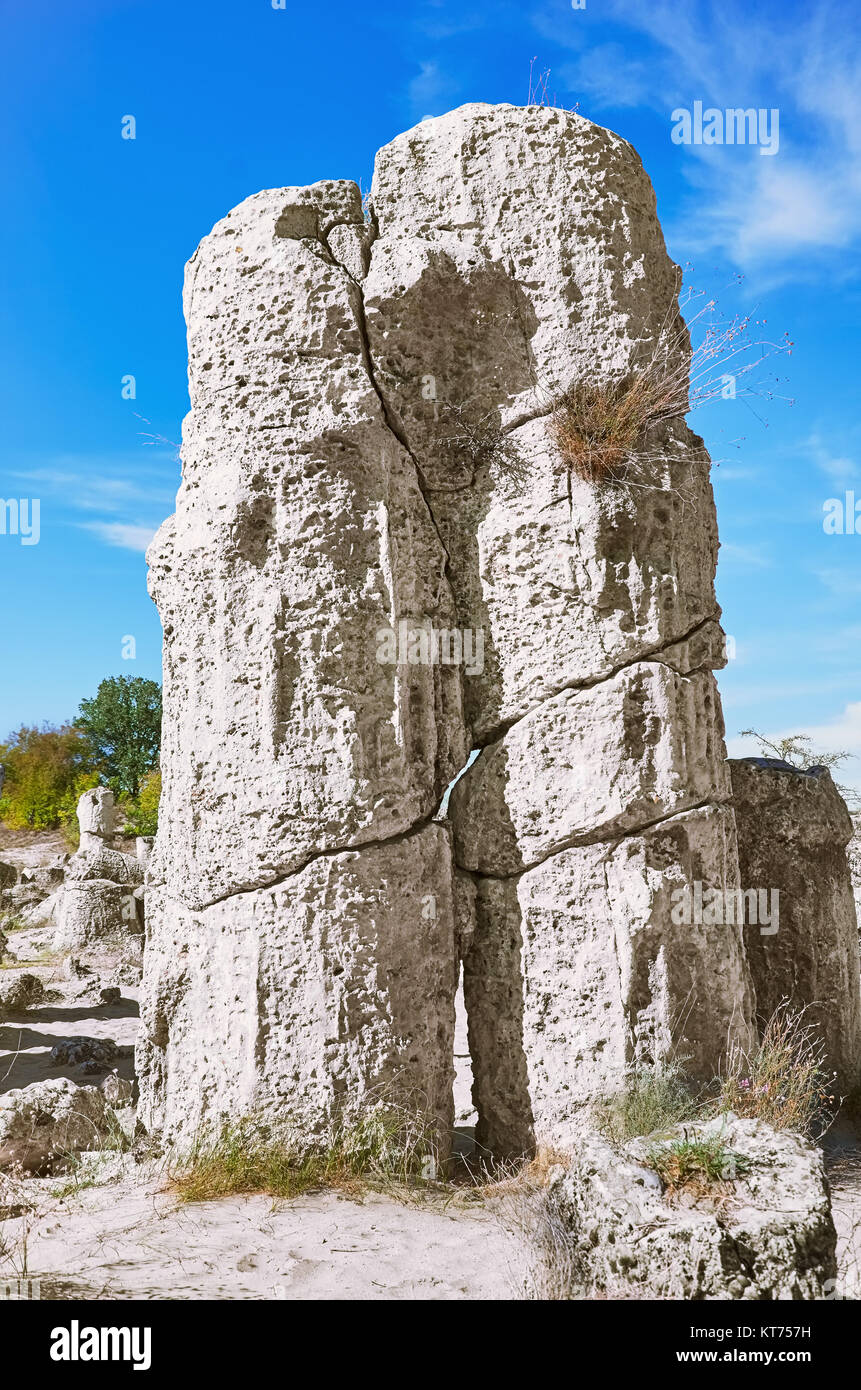 Concretion stone hi-res stock photography and images - Alamy
