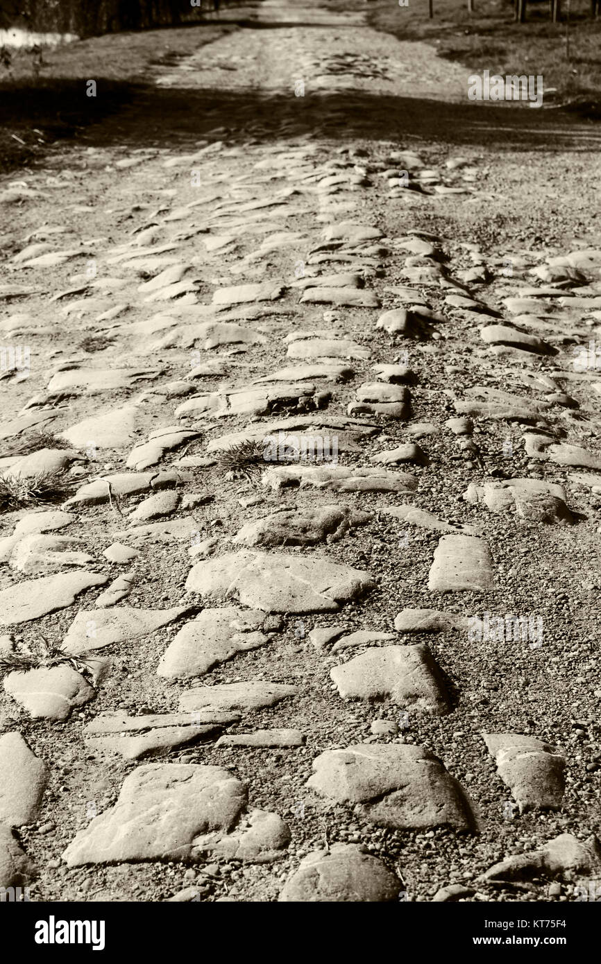 Paving stone road Stock Photo - Alamy