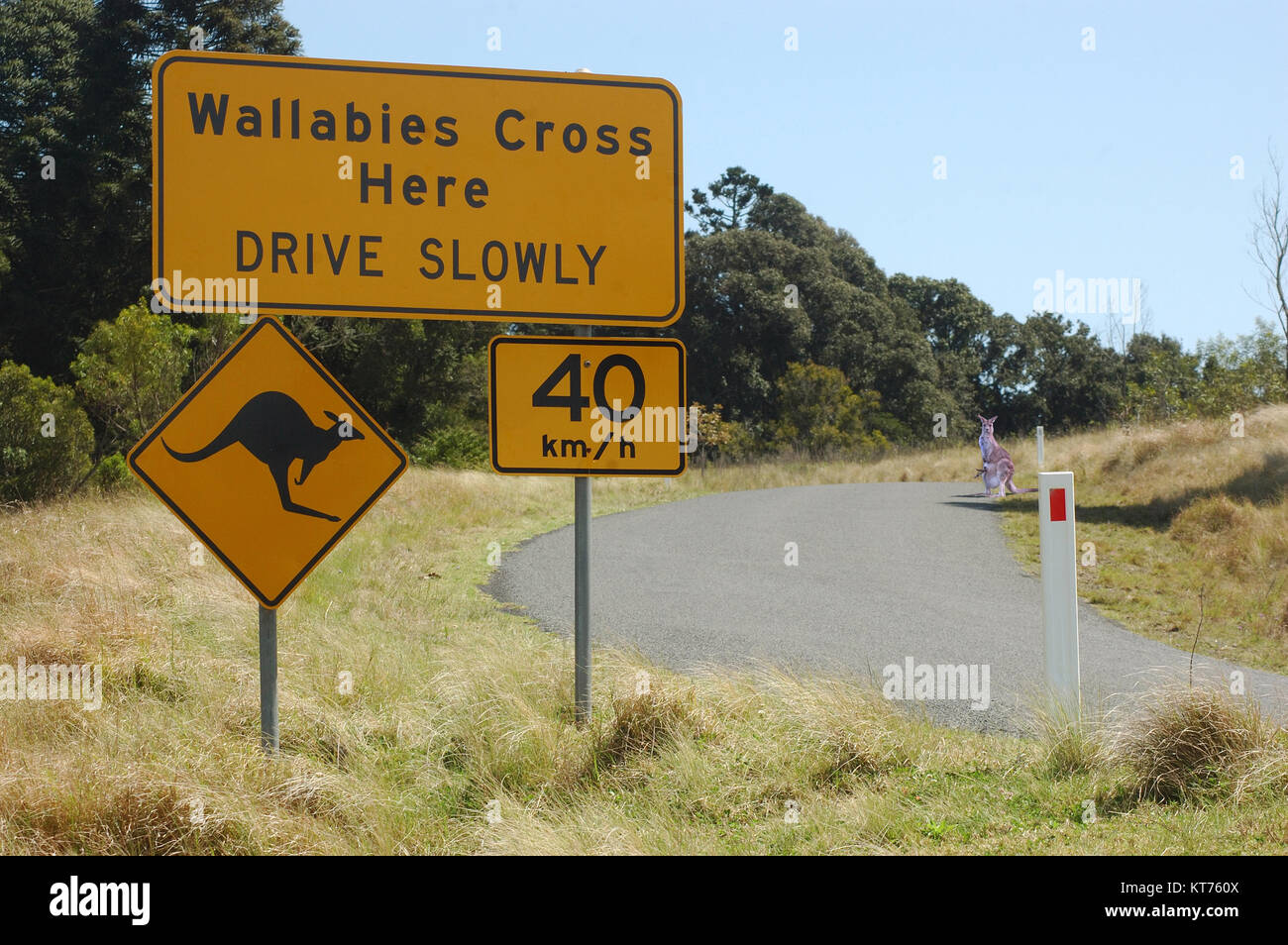 Kangaroo hazard sign hi-res stock photography and images - Alamy