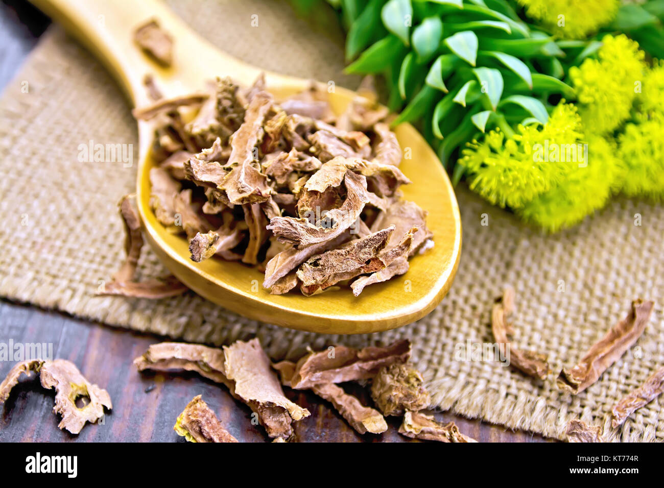 Root dry of Rhodiola rosea in spoon on napkin Stock Photo - Alamy