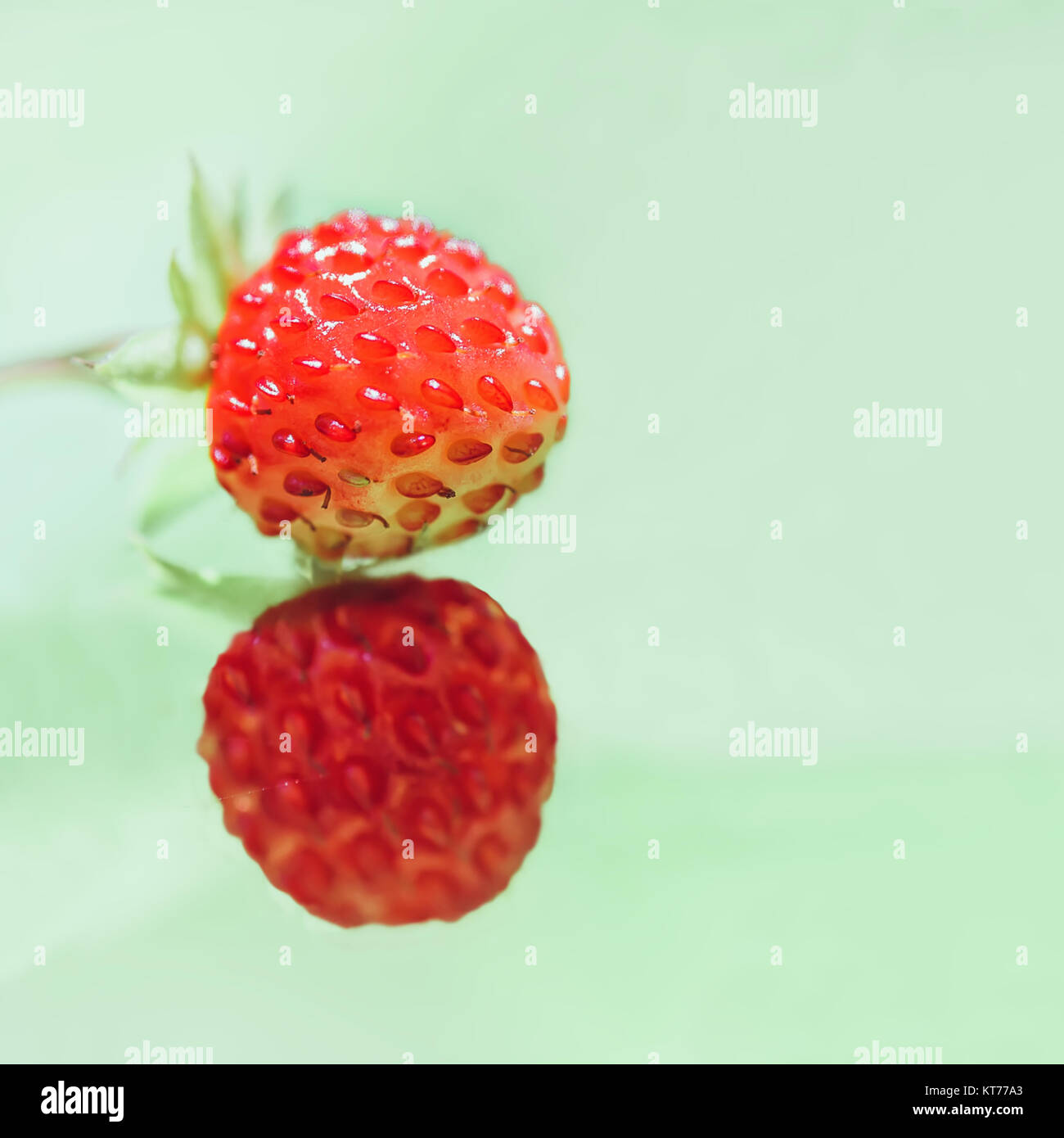 Macro wild strawberry fruits hi-res stock photography and images - Alamy